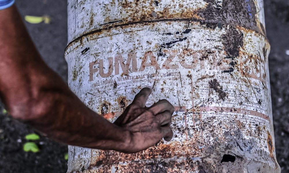 Nemagón: la herencia envenenada de las bananeras
